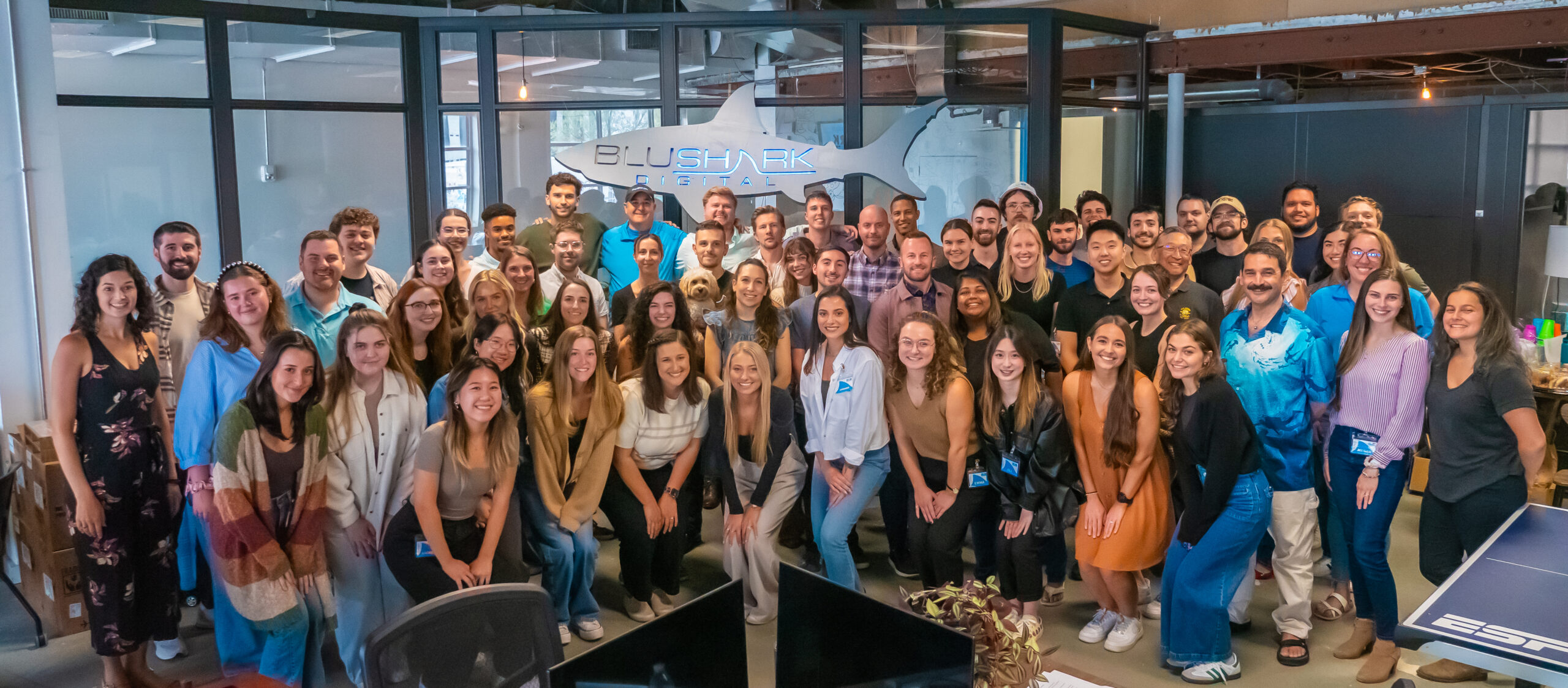 About Us - BluShark Digital LLC